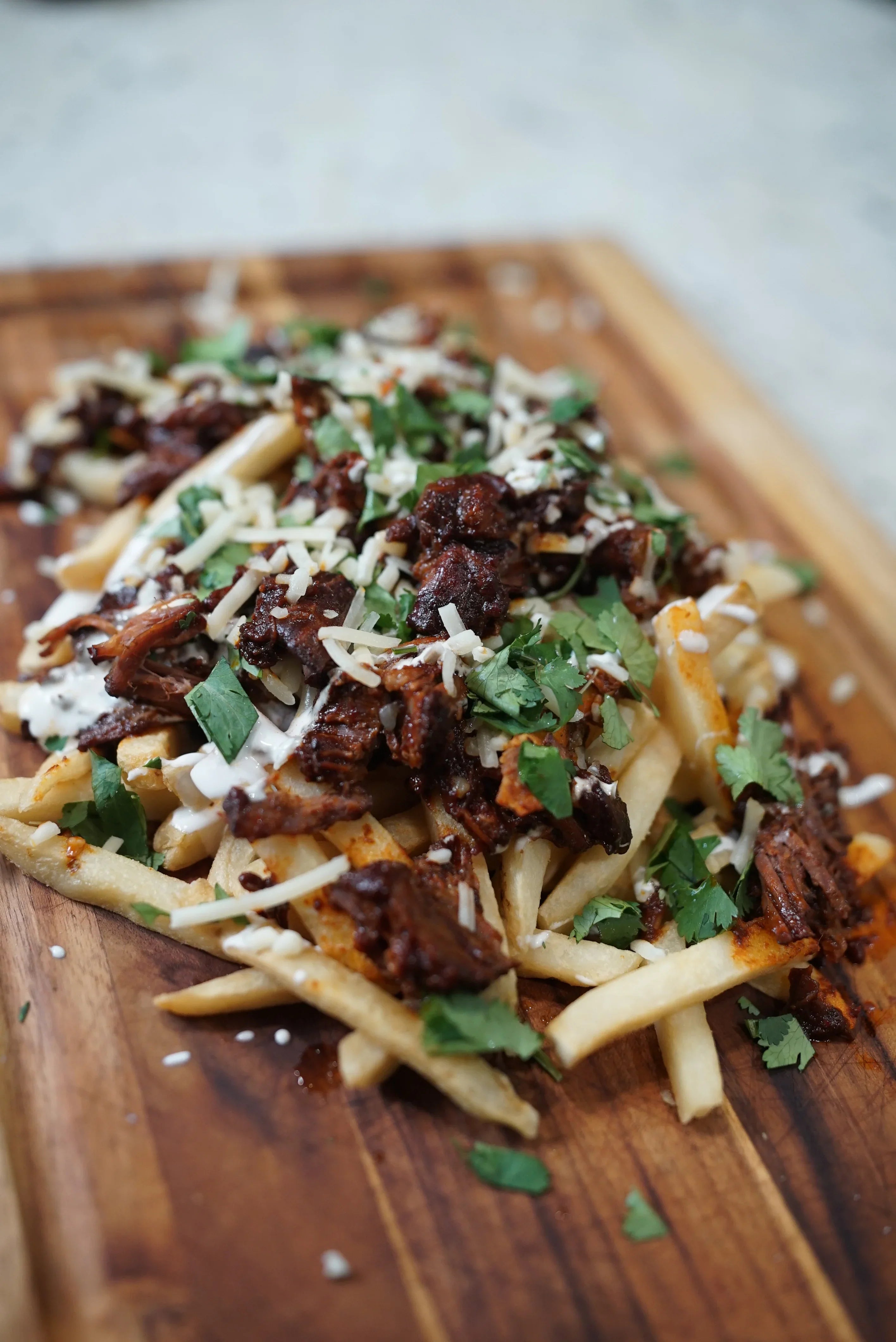Loaded Birria Fries – Big Green Egg
