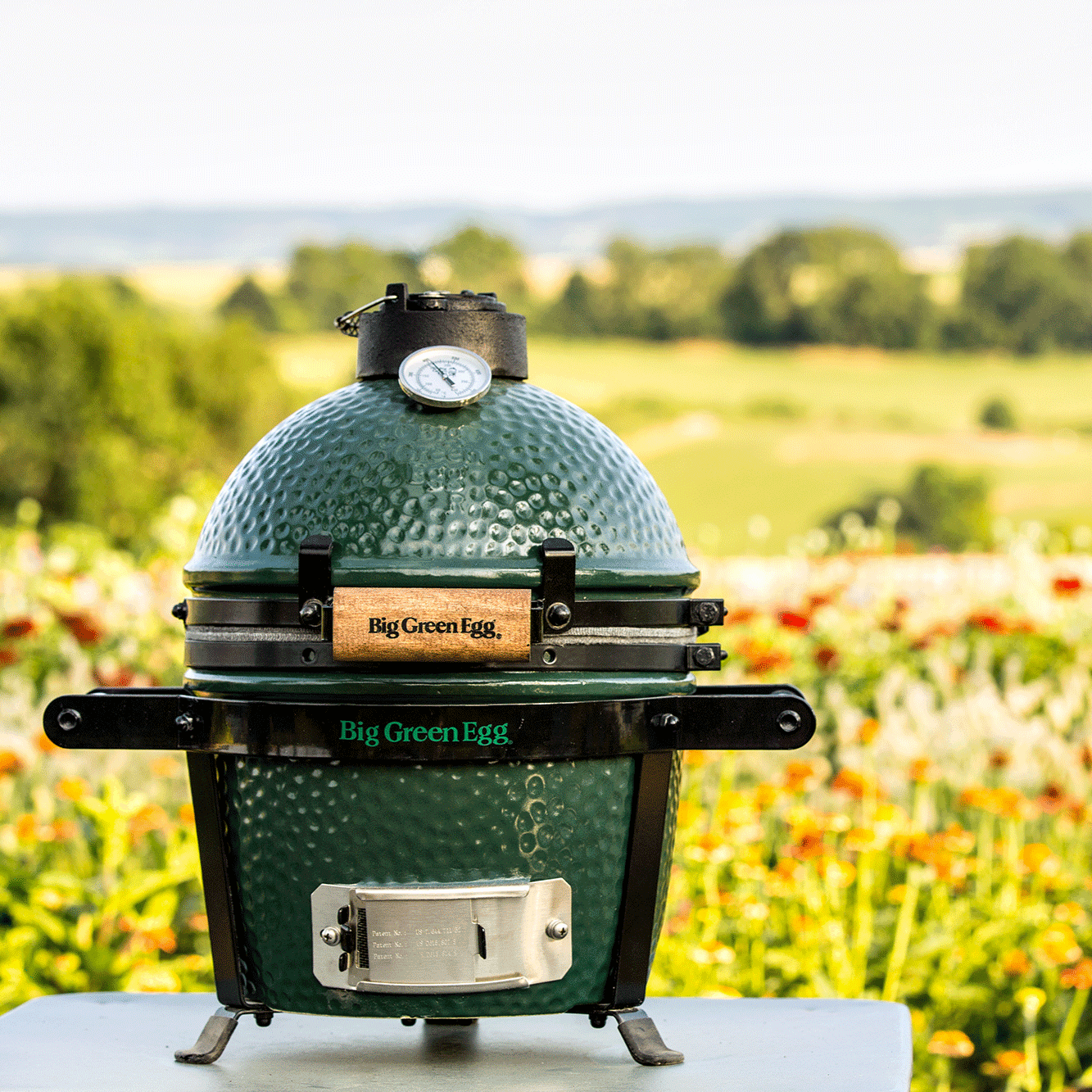 Mini Big Green Egg - Buy Online