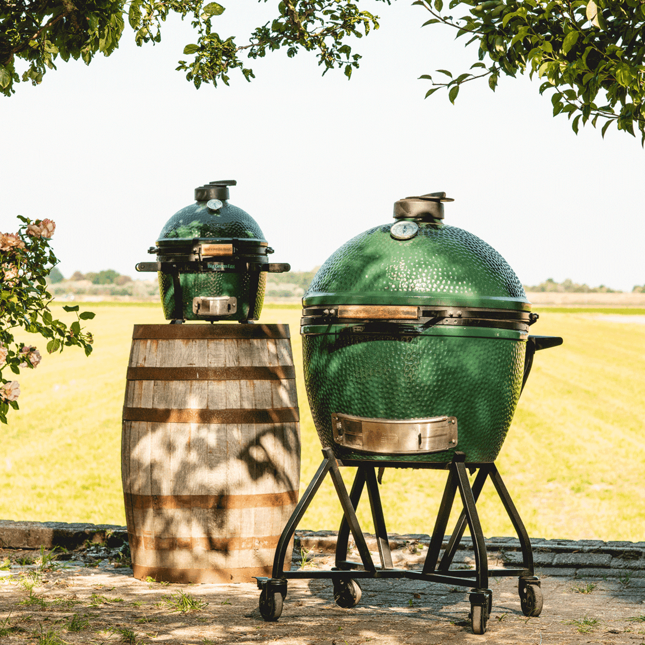 Big Green Egg Sizes | Find the Perfect Egg for Your Needs